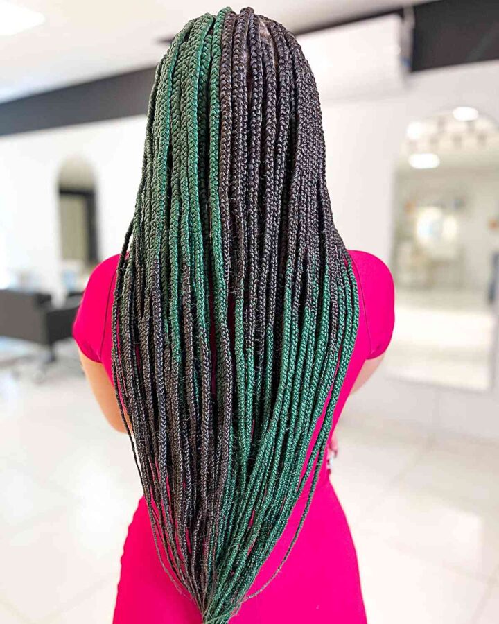 40 Long Box Braids Braiders Say Are Trending Right Now