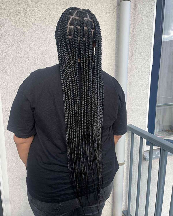 22 Most Amazing Ways to Get Poetic Justice Braids