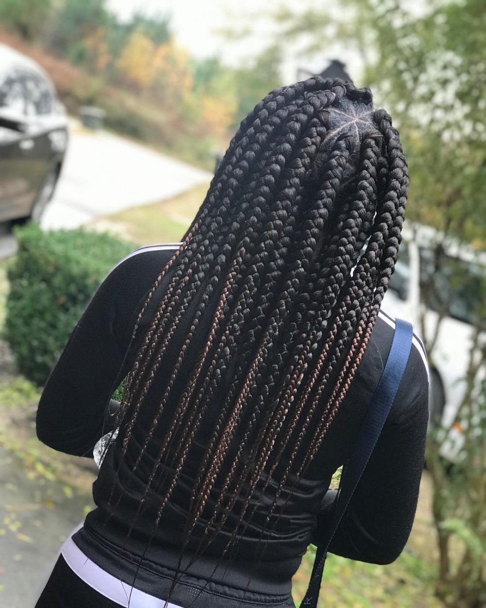 21 Ways to Slay Jumbo Box Braids Like a Queen