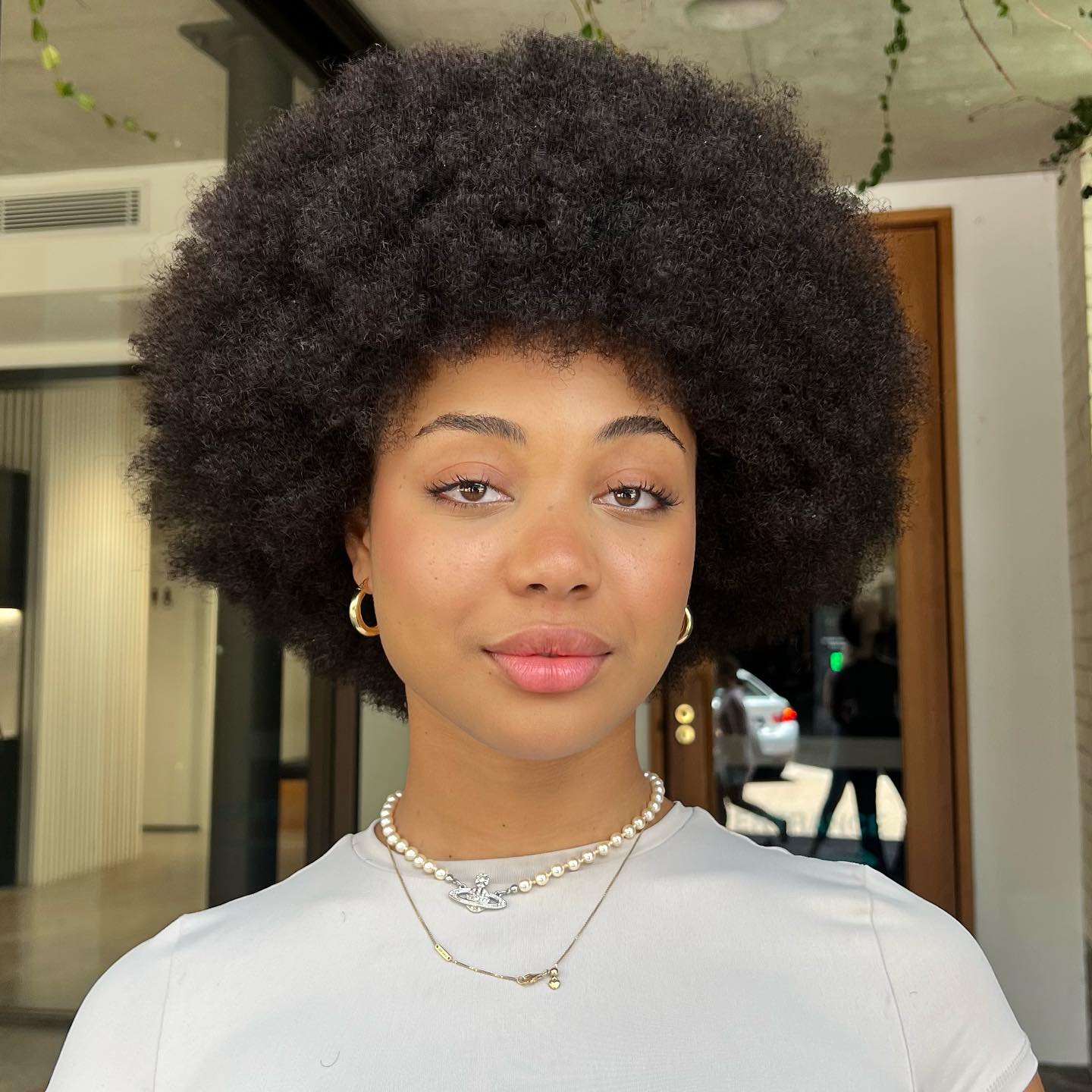 23 Easy-to-Style Afros That Make You Look Younger Instantly