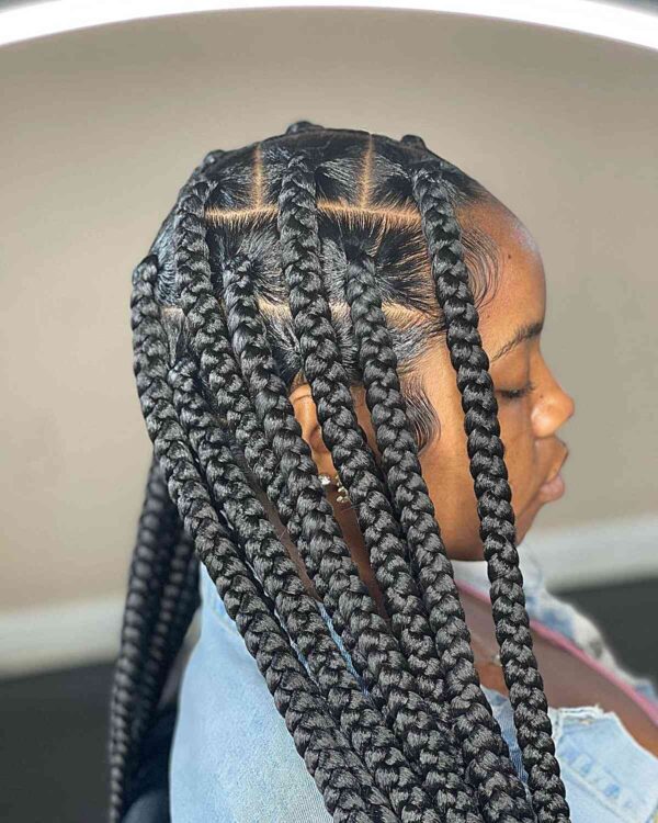 22 Most Amazing Ways to Get Poetic Justice Braids