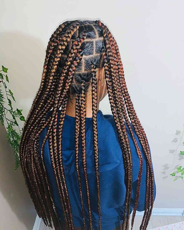 53 Box Braids Hairstyles for Black Women (2026 Trends)