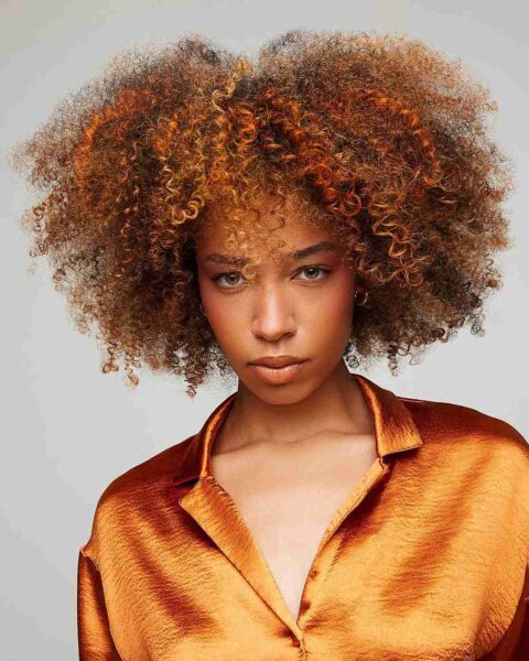 65 Hottest Natural Hairstyles for Black Women in 2025