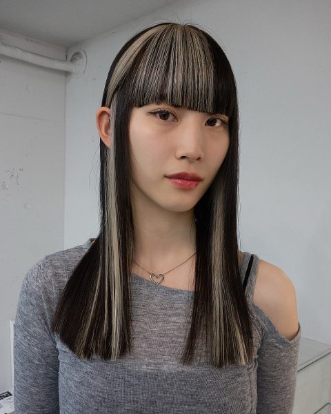 29 Skunk Stripe Hair Ideas to Try This Trend Yourself